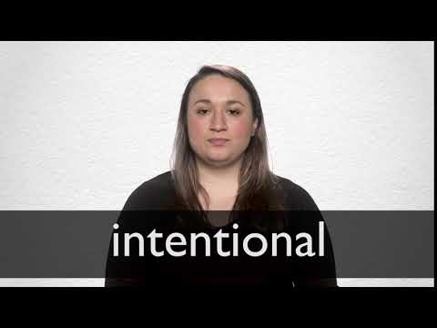 INTENTIONAL definition and meaning | Collins English Dictionary