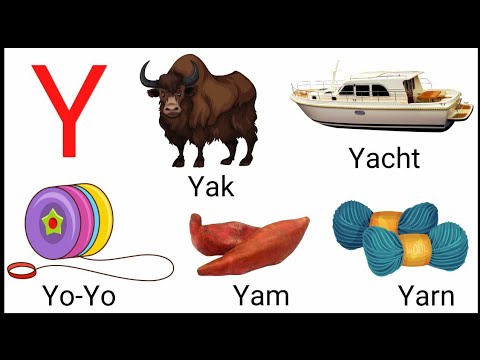 Letter Y Words | Words that start with letter y with pictures | twin kids zone