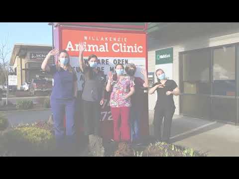 Introducing: Willakenzie Animal Clinic