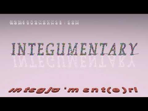 integumentary - pronunciation