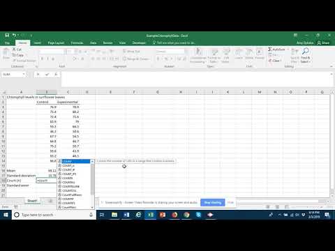 Using Excel to Calculate Summary Statistics