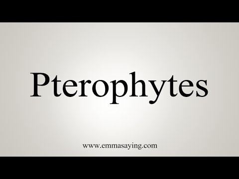 How To Say Pterophytes