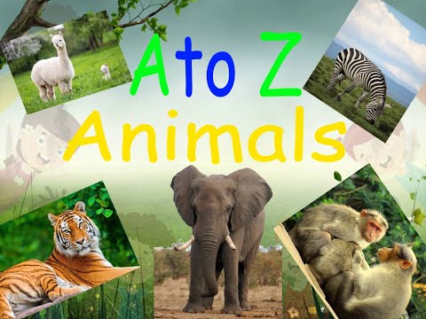 A to Z Animals List With Pictures
