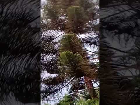 Kotli Azad Kashmir #weather