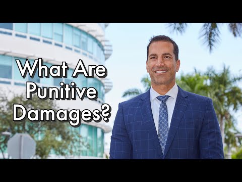 Obtaining Punitive Damages | Top Florida Personal Injury Lawyer Explains Recovering Maximum Damages