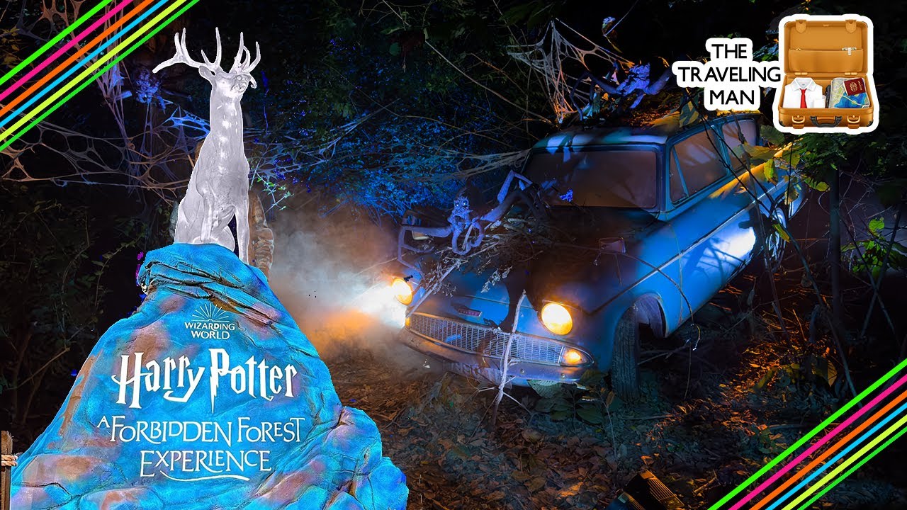 HARRY POTTER A FORBIDDEN FOREST EXPERIENCE- LOVELAND OH