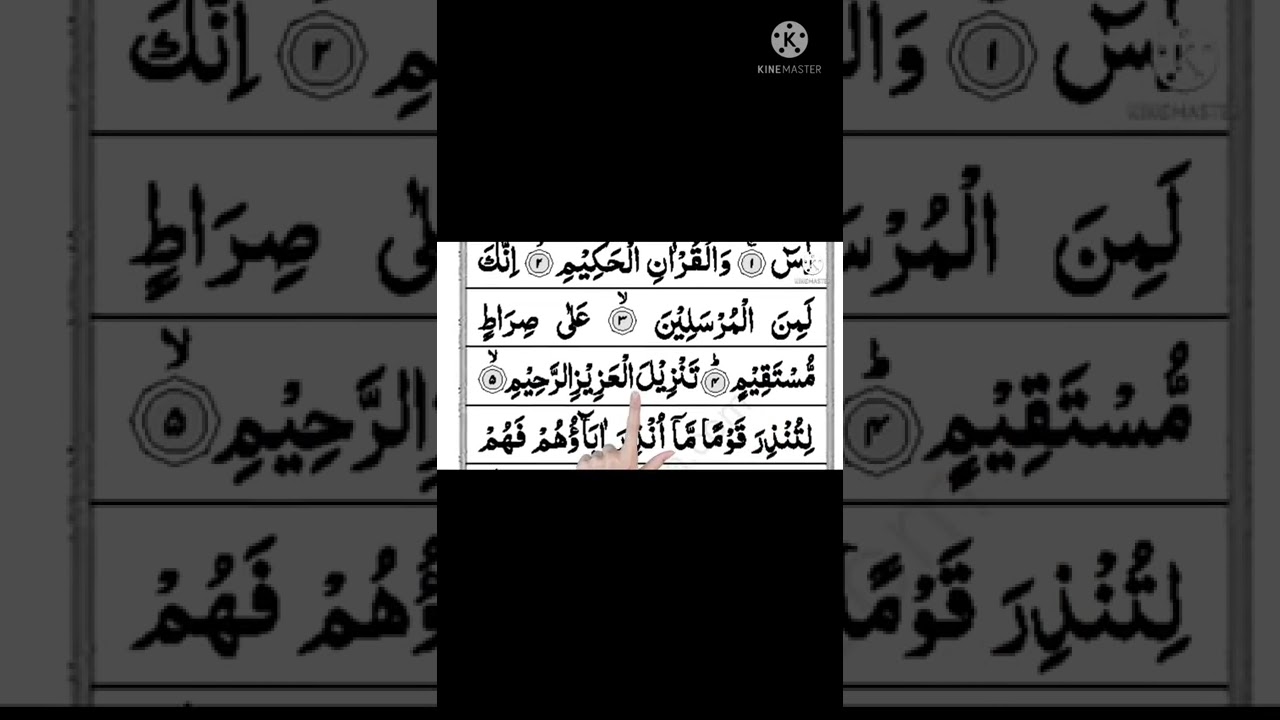 The Powerful Surah Yaseen Tajveed Beautiful Quran Recitation