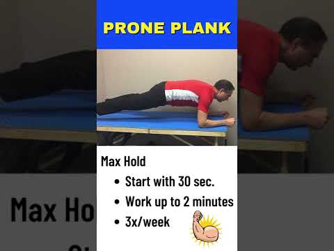 How To Do A Prone Plank (BULGING DISC EXERCISE) | Dr. Walter Salubro Chiropractor in Vaughan