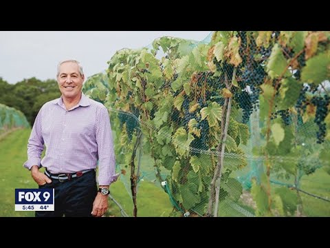 7 Vines Vineyard in Dellwood launches 'The Minnesotan' wine I KMSP FOX 9