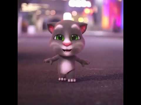 AKKU SAYA SONG WITH TALKING TOM DANCE😂