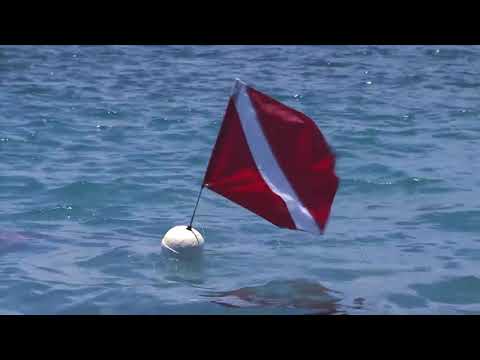 DAN Dive Flag Rules
