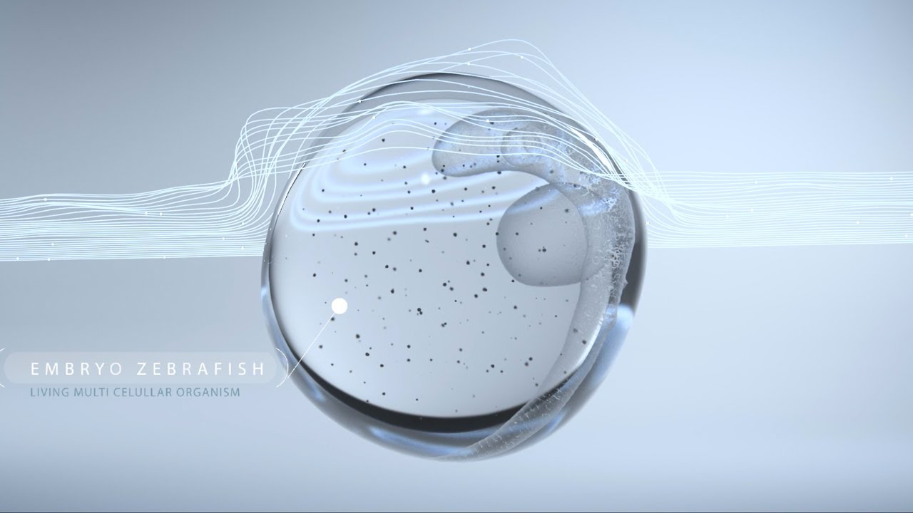 Flow Cytometry | MoA animation