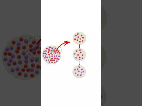 Founder effect | Evolution Class 12 #neet #shorts #shortsvideo