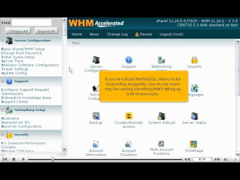 How to see details in WHM about the processes currently in use by MySQL - WHM Service Tutorials
