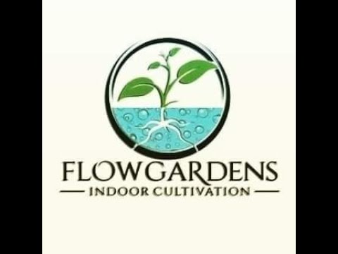 Flow Gardens : Unicorn Butter , Blue Cheese #23 , Bangers & Bananas