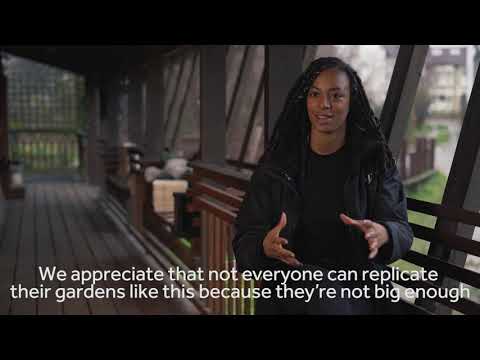 The London Wildlife Trust: What they do.
