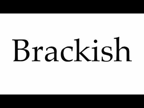How to Pronounce Brackish