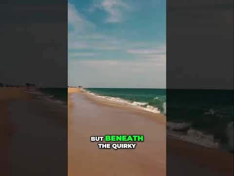 Discover Fenwick Island: Delaware's Eccentric Beach Town