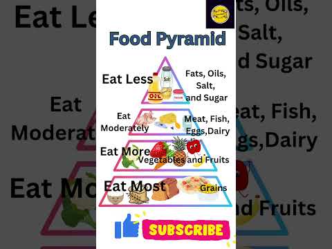 Food Pyramid #foodworld #shorts #food #nutritionfacts