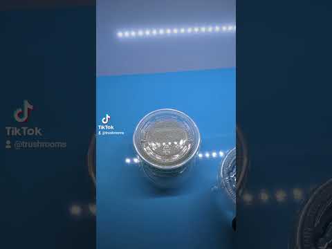 How to get rid of condensation in petri dish #mycology #myco #help #viral #condensation #petridish