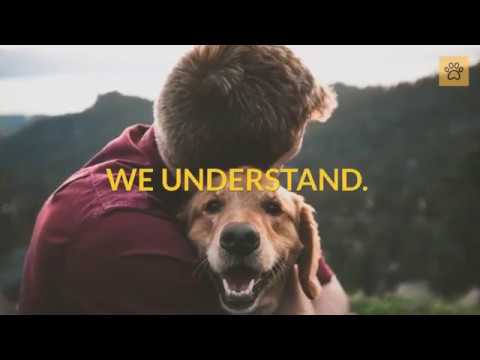 CBD oil For Dogs - Canine Support Formula - CBD Hemp oil for Dogs