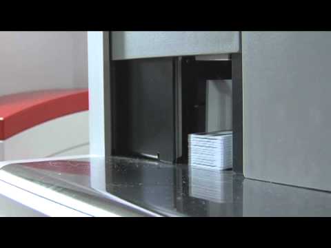 Willard Vet Tutorial: What your dog's blood work means.