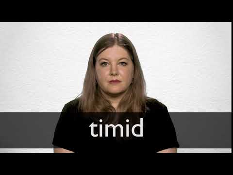 TIMID definition in American English | Collins English Dictionary