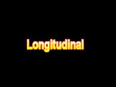What Is The Definition Of Longitudinal