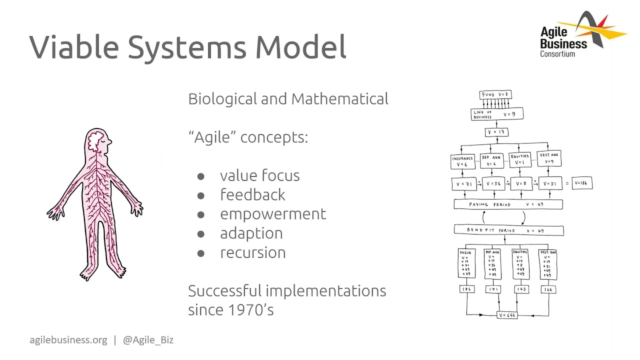 WEBINAR: The Adaptable Organisation