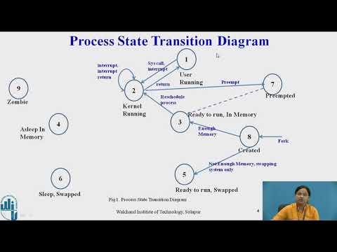 Structure of process