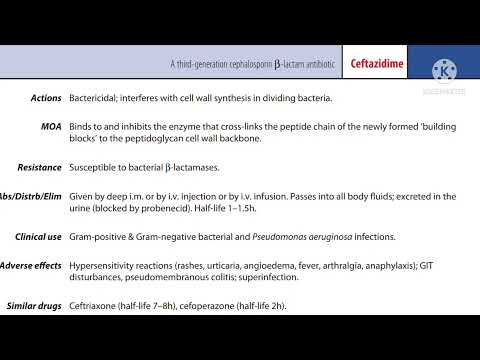 Ceftazidime | Cephalosporin | How to use ceftazidime | Basic for Doctors
