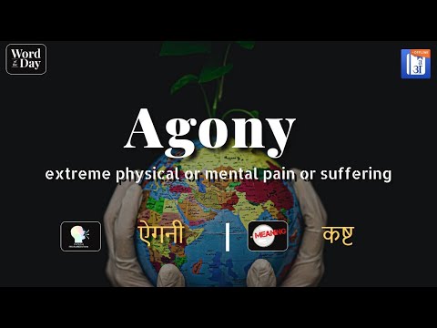 Agony In Hindi - HinKhoj - Dictionary