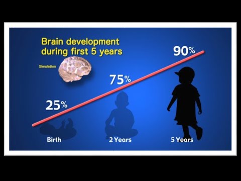 Our Dynamic Brain - Understanding Development and Memory (5 Minutes)