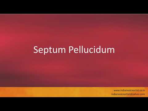 Pronunciation of the word(s) "Septum Pellucidum".