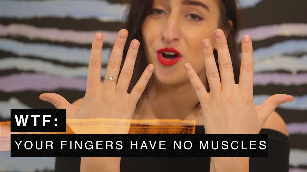 WTF - My fingers have no muscles!