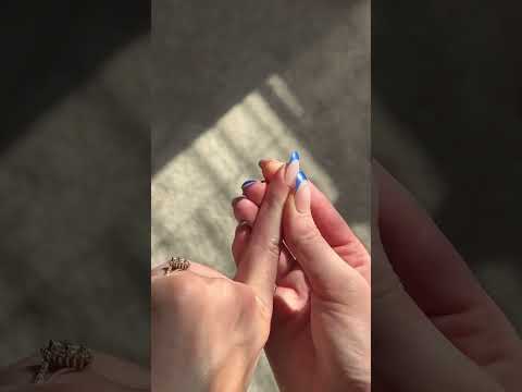 Blue chrome nails...were OBSESSED