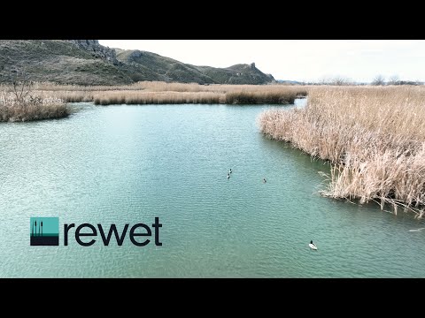 REWET - Restoring wetlands to tackle climate change