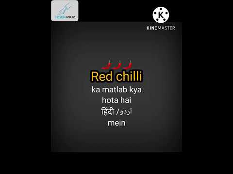 Red chilli ka matlab kya hota hai? | #lfuchannel #shorts #redchilli #vegetablenamesinenglish
