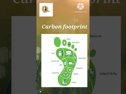 What is Carbon footprint 👣?#carbonfootprint #ecology #environment #upsc #exam#carbonemissions
