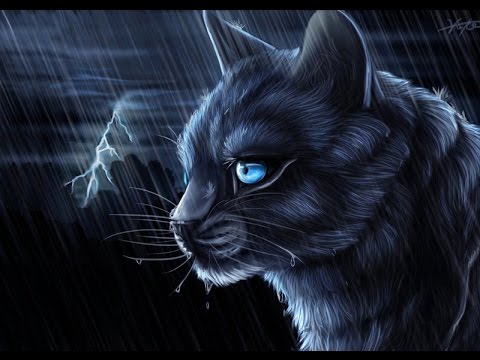 Top Ten Most Suited Warrior Cat Names