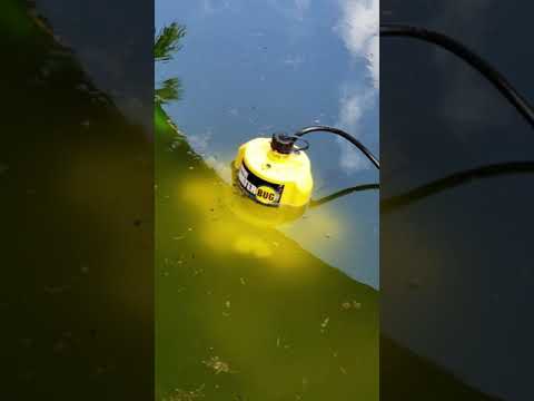 WAYNE WATERBUG PUMP