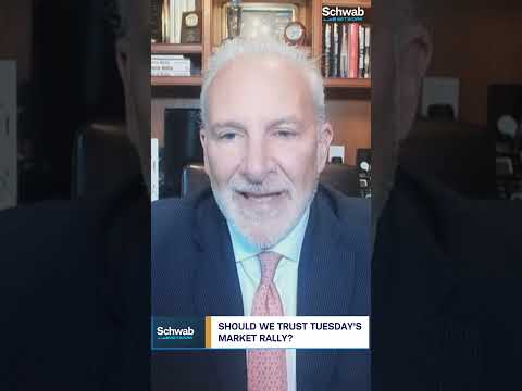 @peterschiff "Not a Rally I Would Trust" #shorts