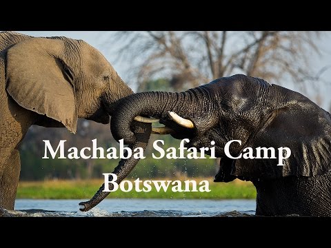 Luxury Lodges of Africa.Machaba Luxury Safari Lodge and Camp, Botswana. Machaba Safaris