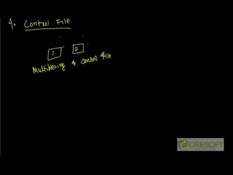 SCPT 4: Introduction to File Structures in Database