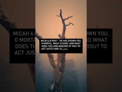 "Discovering Goodness in the Bible: Embracing God's Virtuous Path" #bibleverses