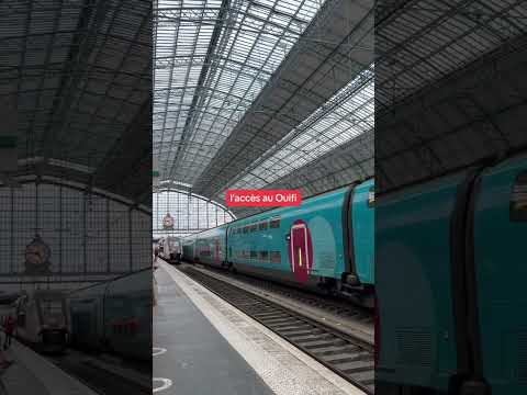 BON PLAN OUIGO GRATUIT #viral #gratuit