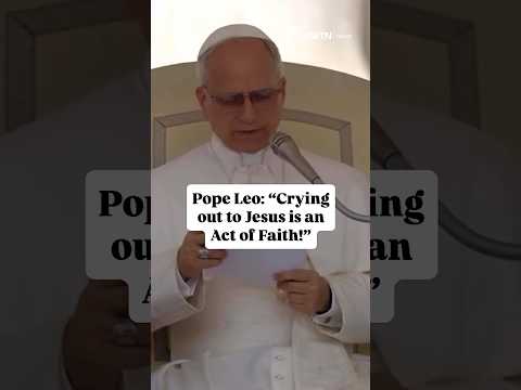 Pope Leo XIV's prayer: "Jesus, have mercy on me!" | General Audience June 11, 2025