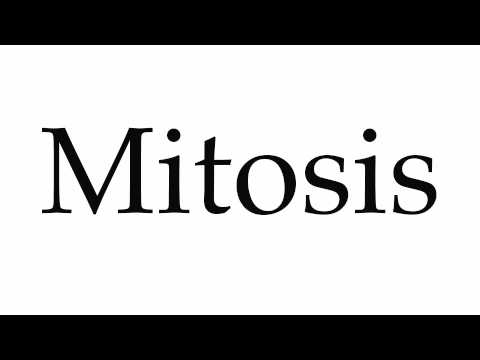 How to Pronounce Mitosis