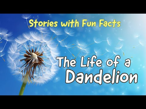 📚 The Life of a Dandelion 📚 Stories for Kids|Fun Facts|Story time|Bedtime Story