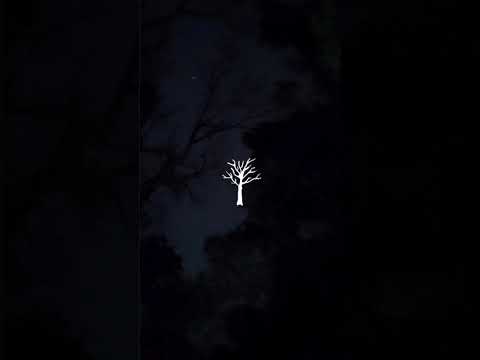 Grouper - Poison tree (but you're in a church)